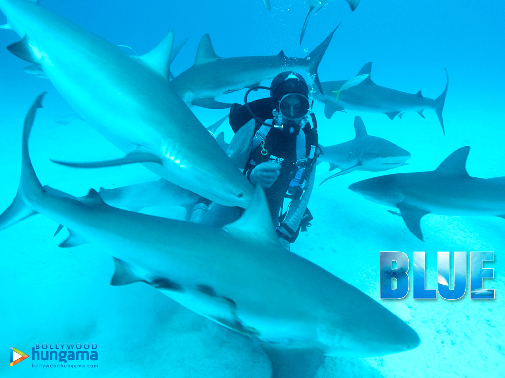 Blue 2009 Wallpapers | Blue 2009 HD Images | Photos blue-4 - Bollywood ...