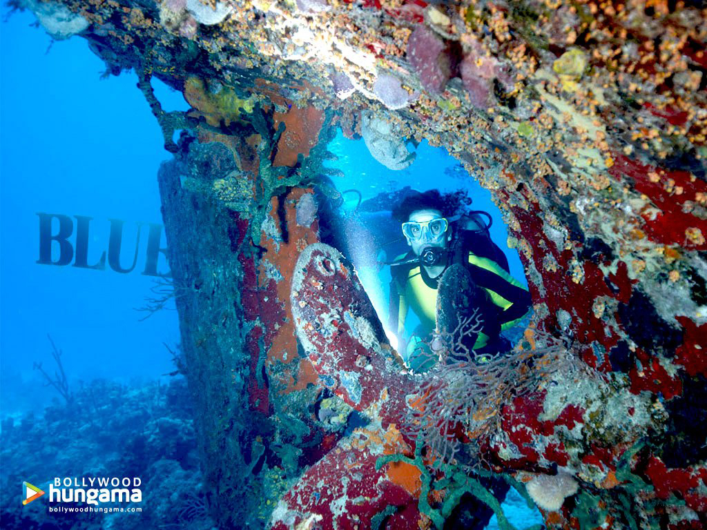 Blue 2009 Wallpapers | Blue 2009 HD Images | Photos blue-7 - Bollywood ...