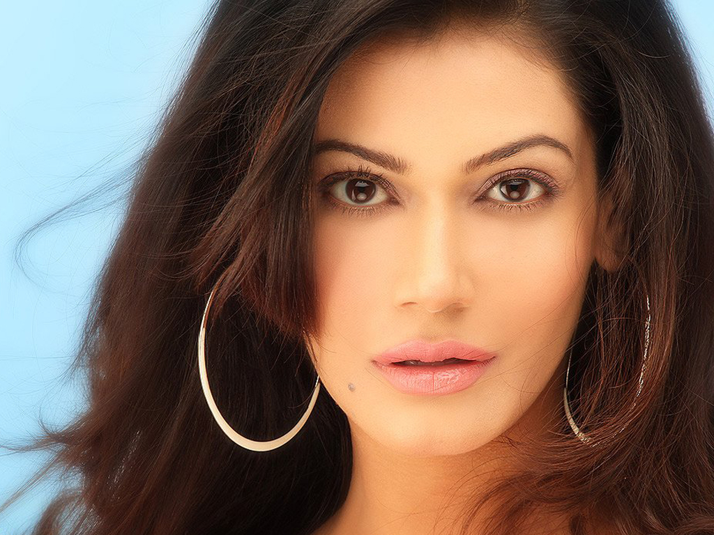 Payal Rohatgi Wallpapers | payal-rohatgi-8 - Bollywood Hungama
