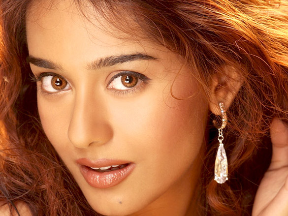 Amrita Rao Photos, Images, HD Wallpapers, Amrita Rao HD Images, Photos ...