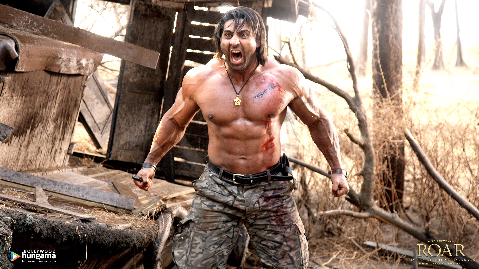 Roar – Tigers Of The Sunderbans 2014 Wallpapers | Roar – Tigers Of The ...