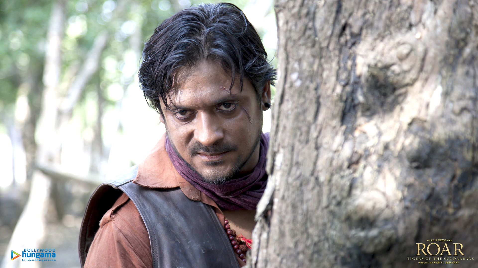 Roar – Tigers Of The Sunderbans 2014 Wallpapers | Roar – Tigers Of The ...