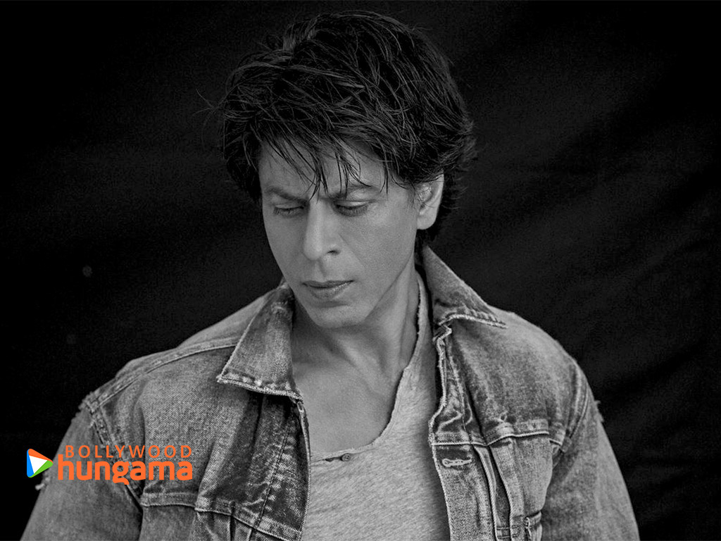 Shah Rukh Khan Wallpapers | shah-rukh-khan-1-17 - Bollywood Hungama