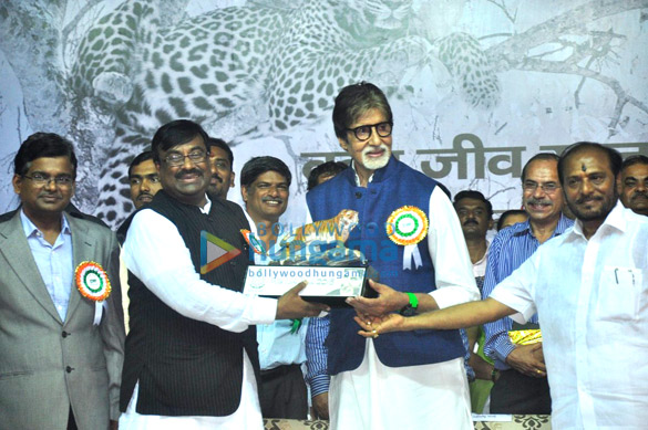 Amitabh Bachchan appointed as Maharashtra’s Tiger ambassador | Sudhir ...