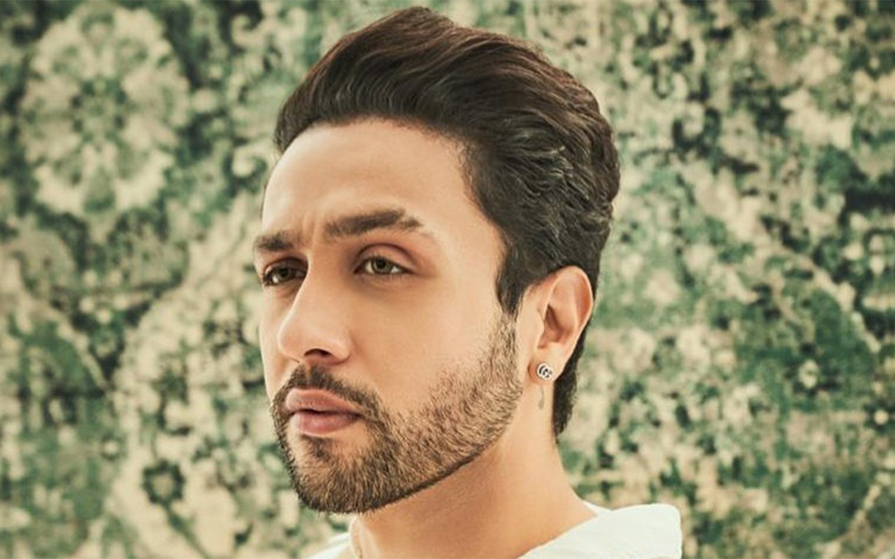 Adhyayan Suman shares casting director made him feel like a “dog”; says ...