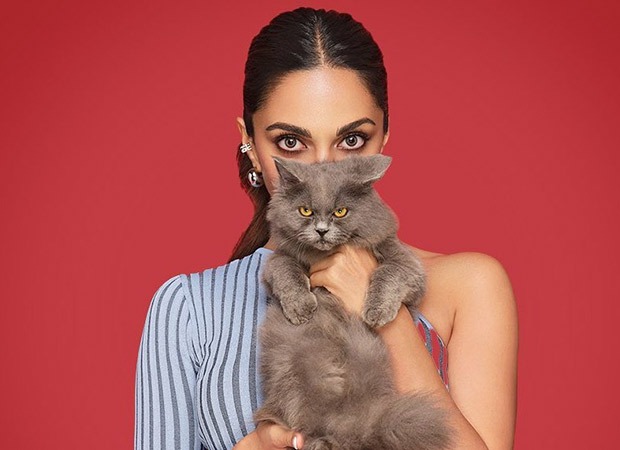 Kiara Advani Joins the Paw-some Team as Drools Pet Food Ambassador on ...