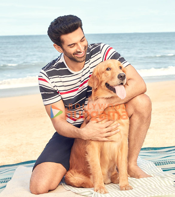 Aditya Roy Kapur Photos, Images, HD Wallpapers, Aditya Roy Kapur HD ...