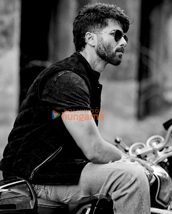 Shahid Kapoor Photos, Images, HD Wallpapers, Shahid Kapoor HD Images ...