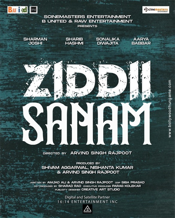 Ziddii Sanam Movie: Review | Release Date (2023) | Songs | Music ...