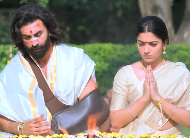 Animal Box Office: Rashmika Mandanna makes her debut in Rs. 500 Crores ...