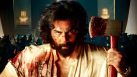 Animal Box Office Collection | India | Day Wise | Box Office ...