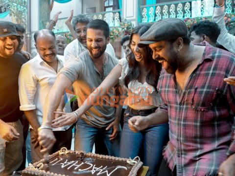 Deva Movie: Review | Release Date (2025) | Songs | Music | Images | Official Trailers | Videos ...