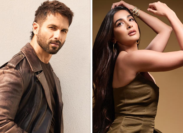 Shahid Kapoor commends Deva co-star Pooja Hegde for ‘making it on her ...