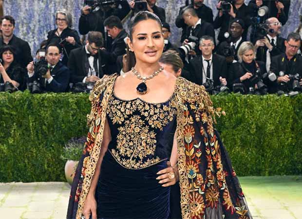 Sudha Reddy turns heads at Met Gala 2026 in 3,459-hour ‘Tree of Life ...